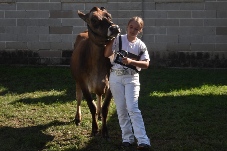 Judge impressed with Dairy Show entrants | News, Sports, Jobs - The Journal